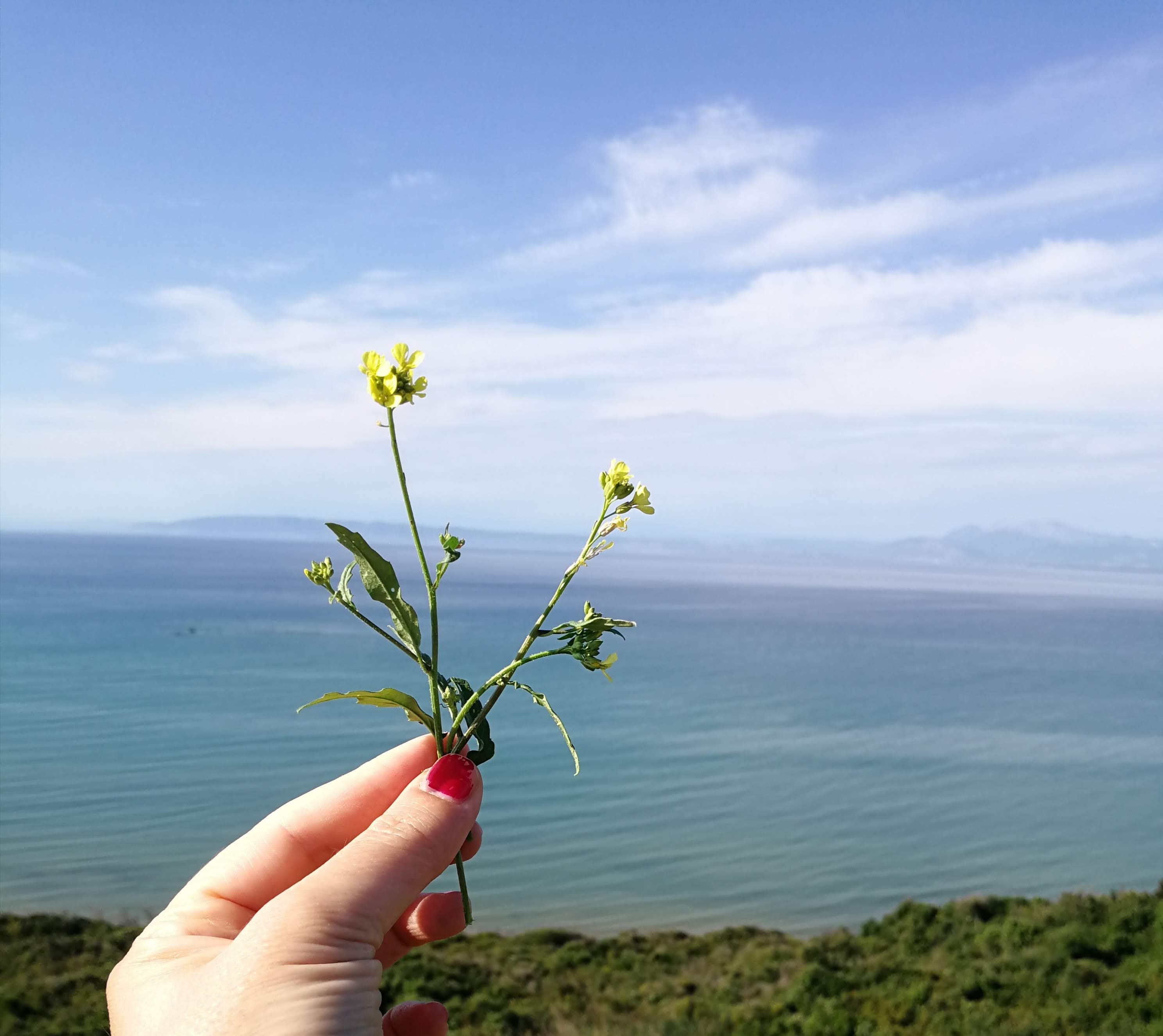 A Beautiful Escape to the Cape of Rodoni | Notes from Albania